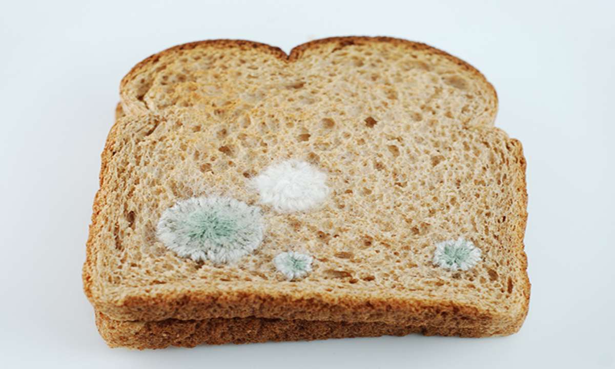 17 Ciri-Ciri Rumah Kena Santet menurut Islam & Primbon Jawa