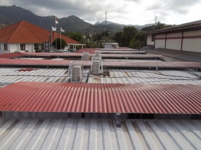 5 Kekurangan Atap Go Green yang Jarang Orang Tahu. Penting!