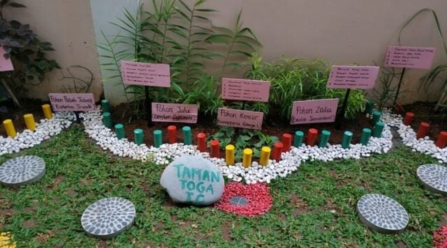 7 Contoh Desain Taman Toga Minimalis di Halaman Rumah