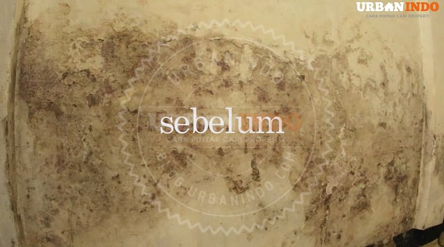 Cara Mengatasi Tembok Lembab dan Berjamur. 60 Menit Saja!