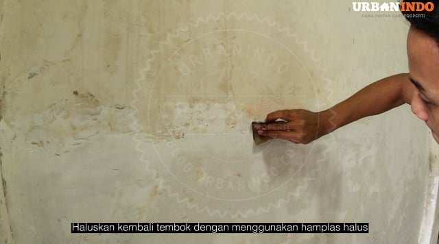 Cara Mengatasi Tembok Lembab dan Berjamur. 60 Menit Saja!