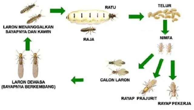 4 Mitos Laron Masuk Rumah, Pertanda Datangnya Rezeki?