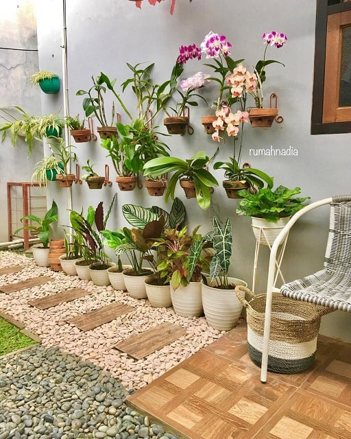 7 Ide Desain Taman Anggrek di Rumah Minimalis. Estetik Banget!