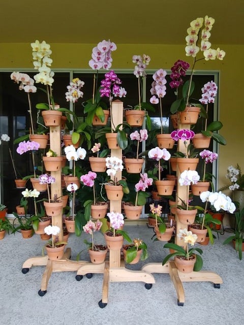 7 Ide Desain Taman Anggrek di Rumah Minimalis. Estetik Banget!