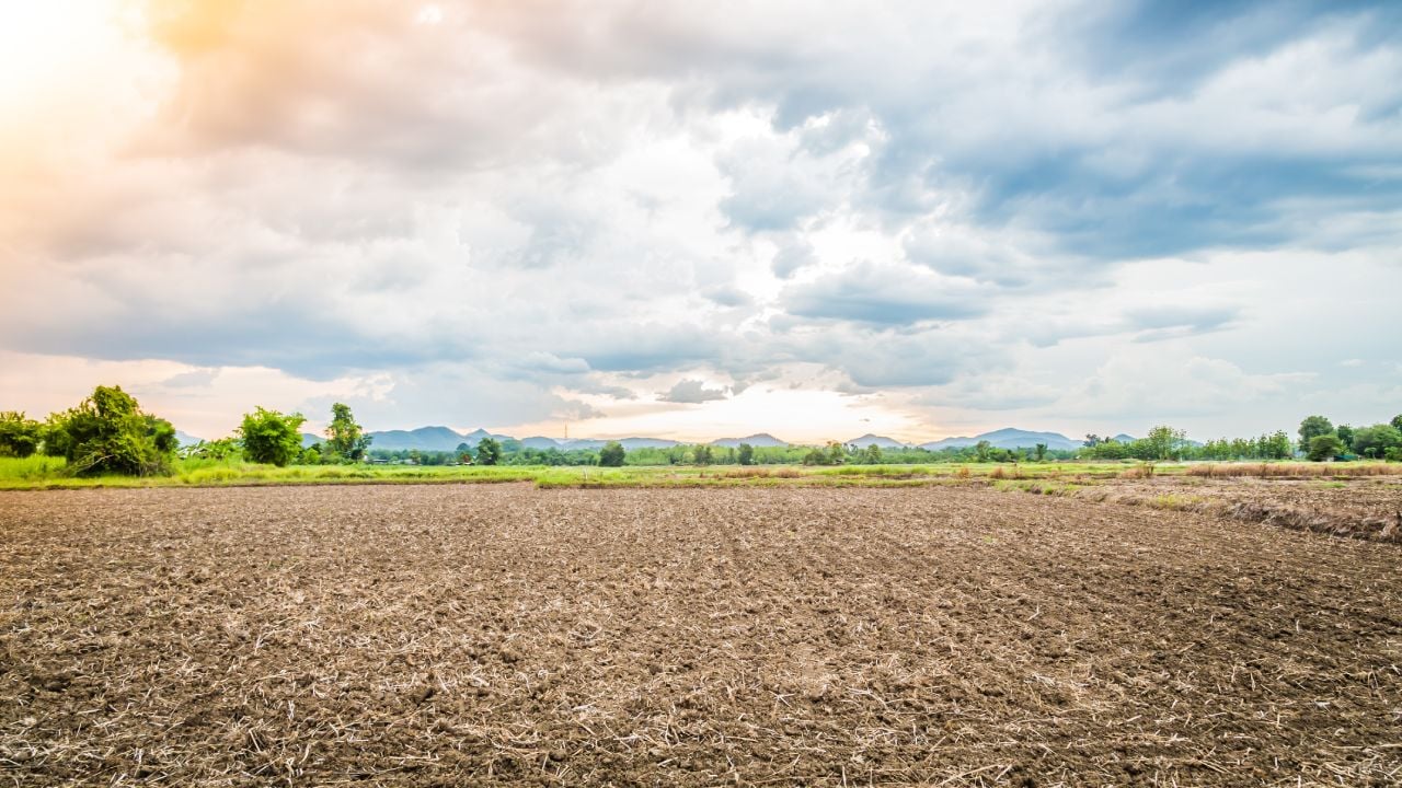 Tanah Partikelir: Arti, Aturan Hukum, hingga Contohnya
