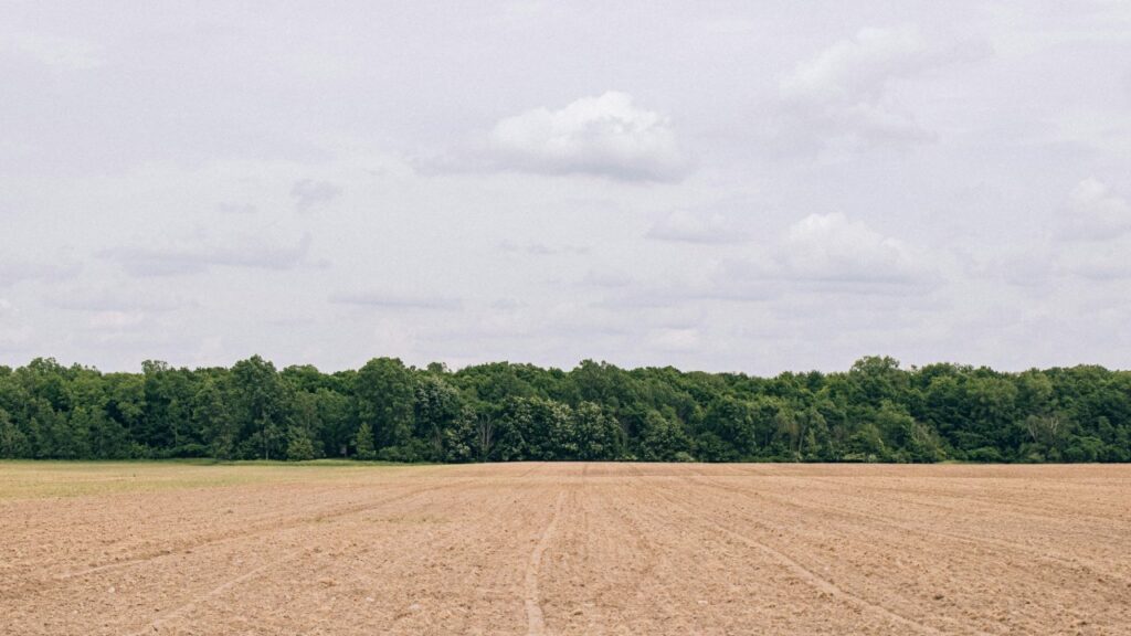 Contoh Surat Perjanjian DP Rumah & Cara Membuatnya