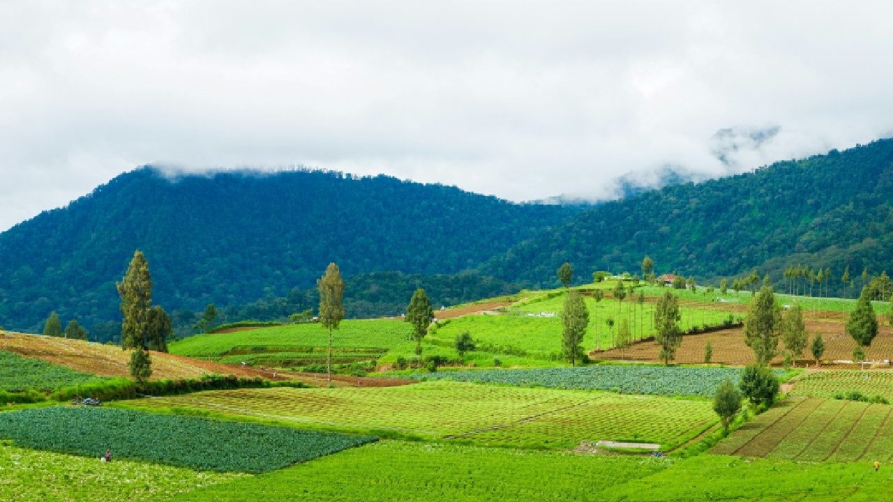 Contoh Warkah Tanah, Isi, Fungsi, dan Biayanya