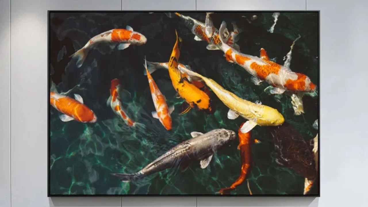 Feng Shui Lukisan Ikan Koi yang Harus Diketahui