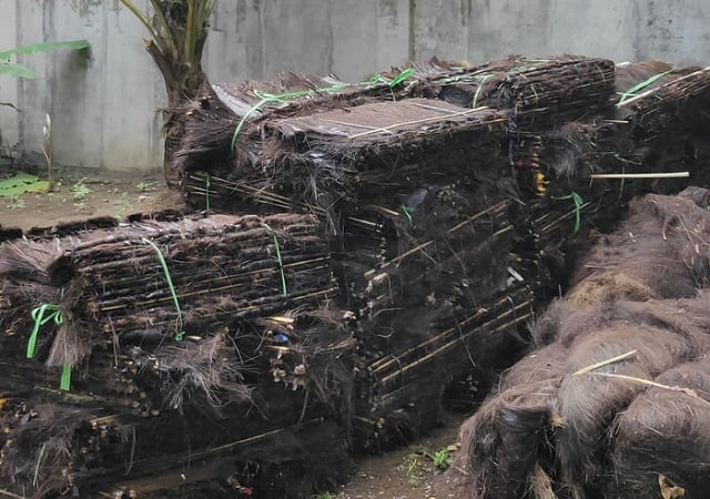 8 Kelebihan dan Kekurangan Atap Ijuk untuk Bangunan. Sudah Tahu?