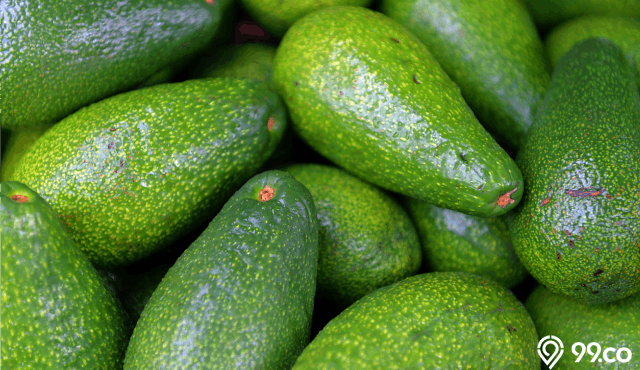 5 Cara Budidaya Alpukat Aligator di Pekarangan Rumah dan dalam Pot