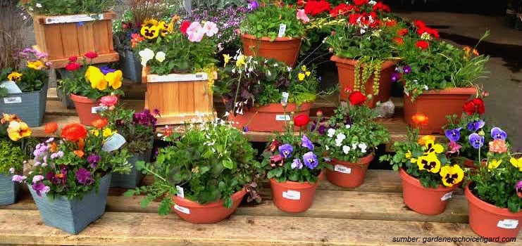 12 Ide Kreatif Kebun Minimalis di Rumah yang Unik dan Segar