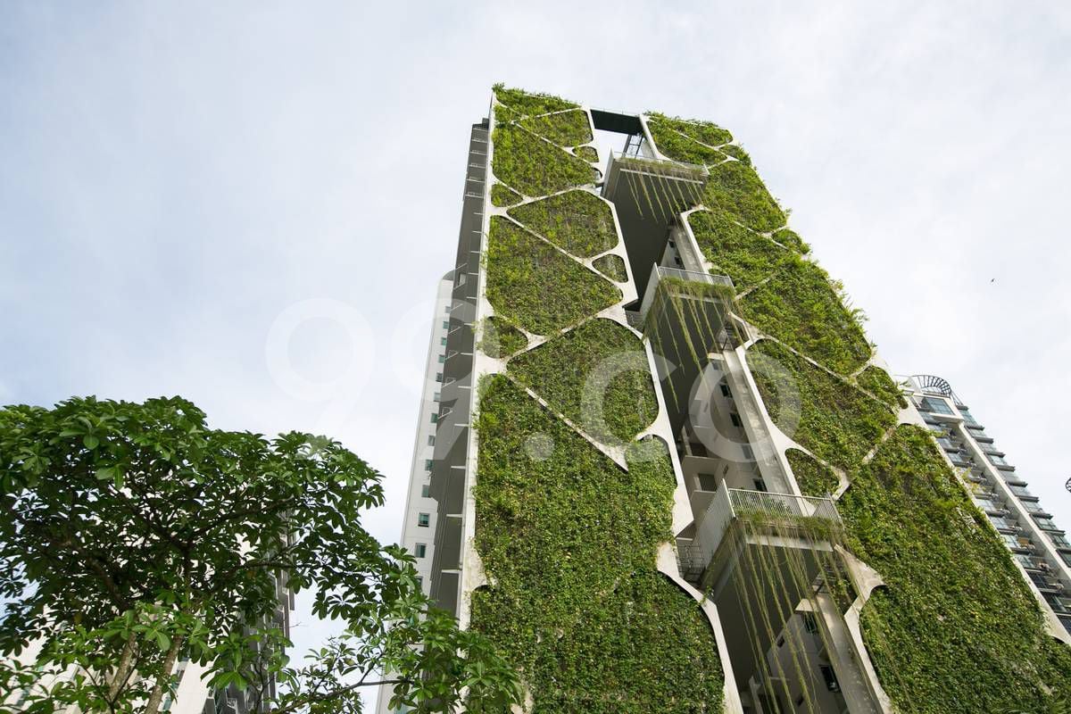 5 cheap condos in Singapore for greenery and nature lovers - 99.co
