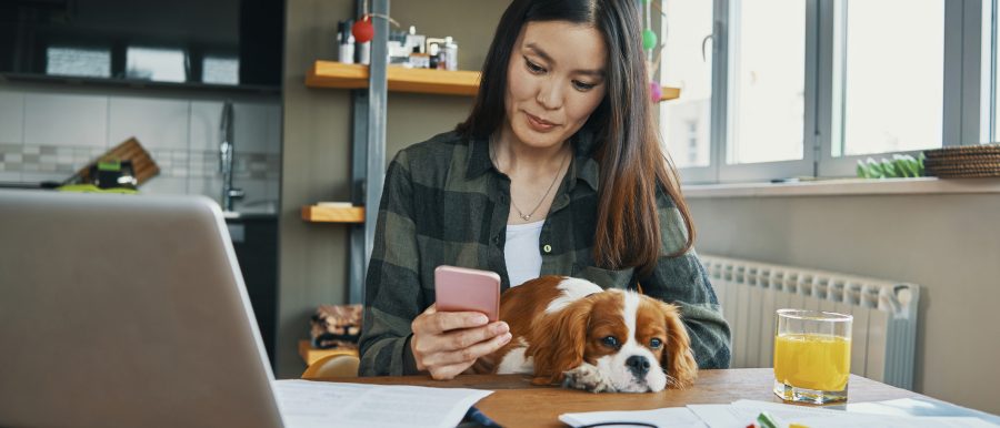 7 Profitable Home-based Businesses to Raise Your Income - 99.co