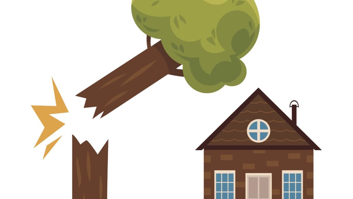 Could a Tree Fall on your House? - 99.co
