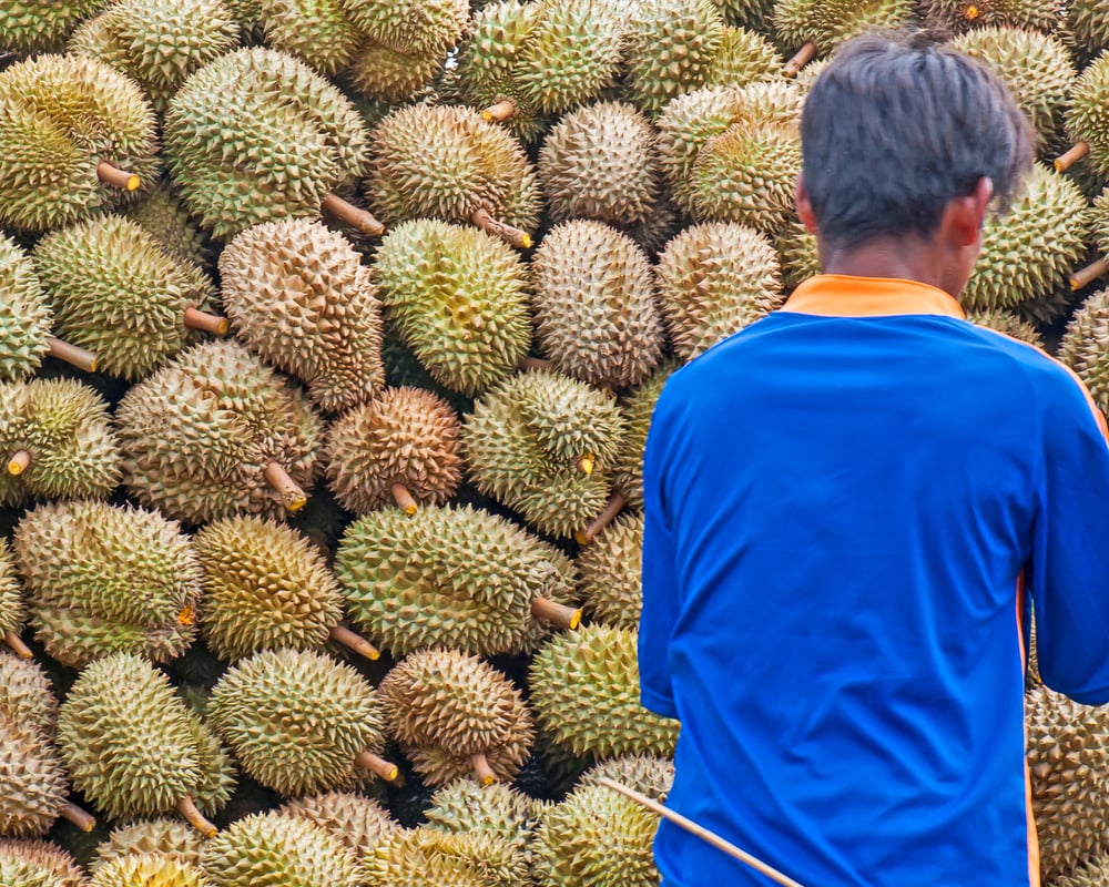 The Best Places to Set Up a Durian Shop in Singapore - 99.co