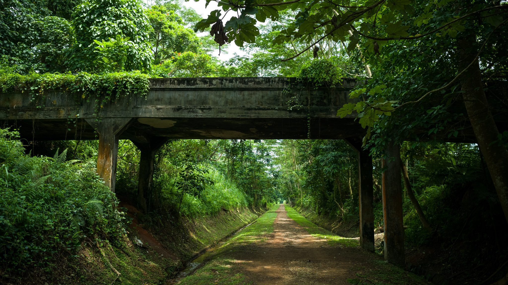 Sunset Way: A prime but underrated gem in the west - 99.co