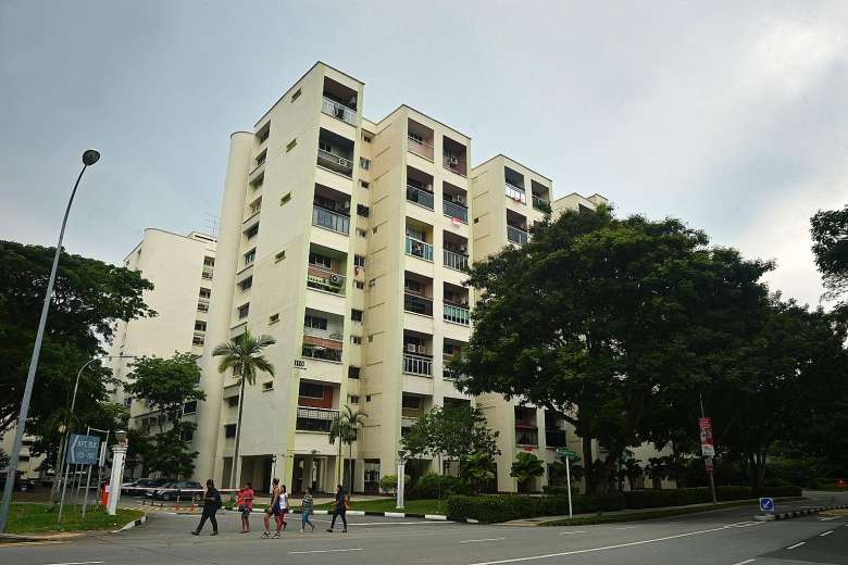 HUDC flats: Will more experience en-bloc sales in 2017?