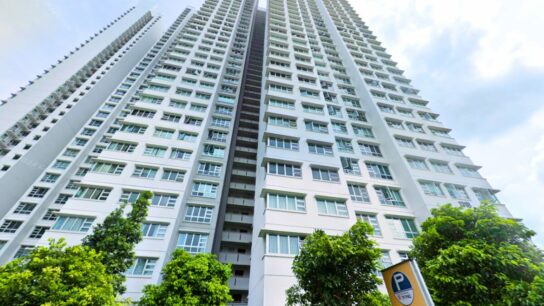 Two new MRT lines proposed: Seletar and Tengah lines to serve over ...