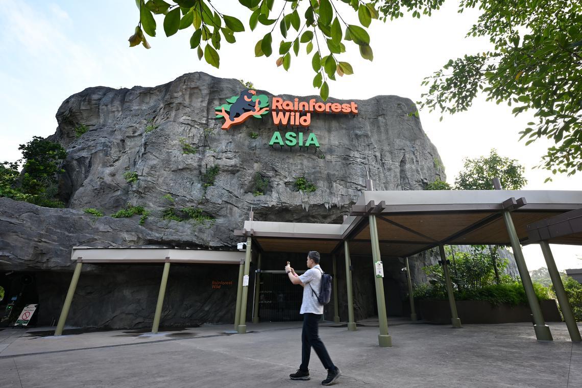 All About Rainforest Wild Asia Singapore