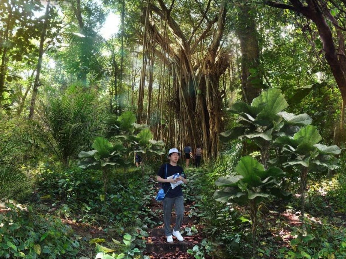 All About Rainforest Wild Asia Singapore